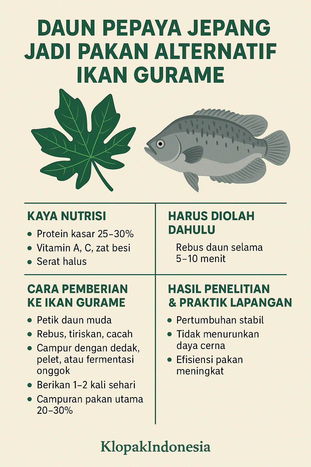 Daun Pepaya Jepang Jadi Pakan Alternatif Ikan Gurame, Aman dan Kaya ...