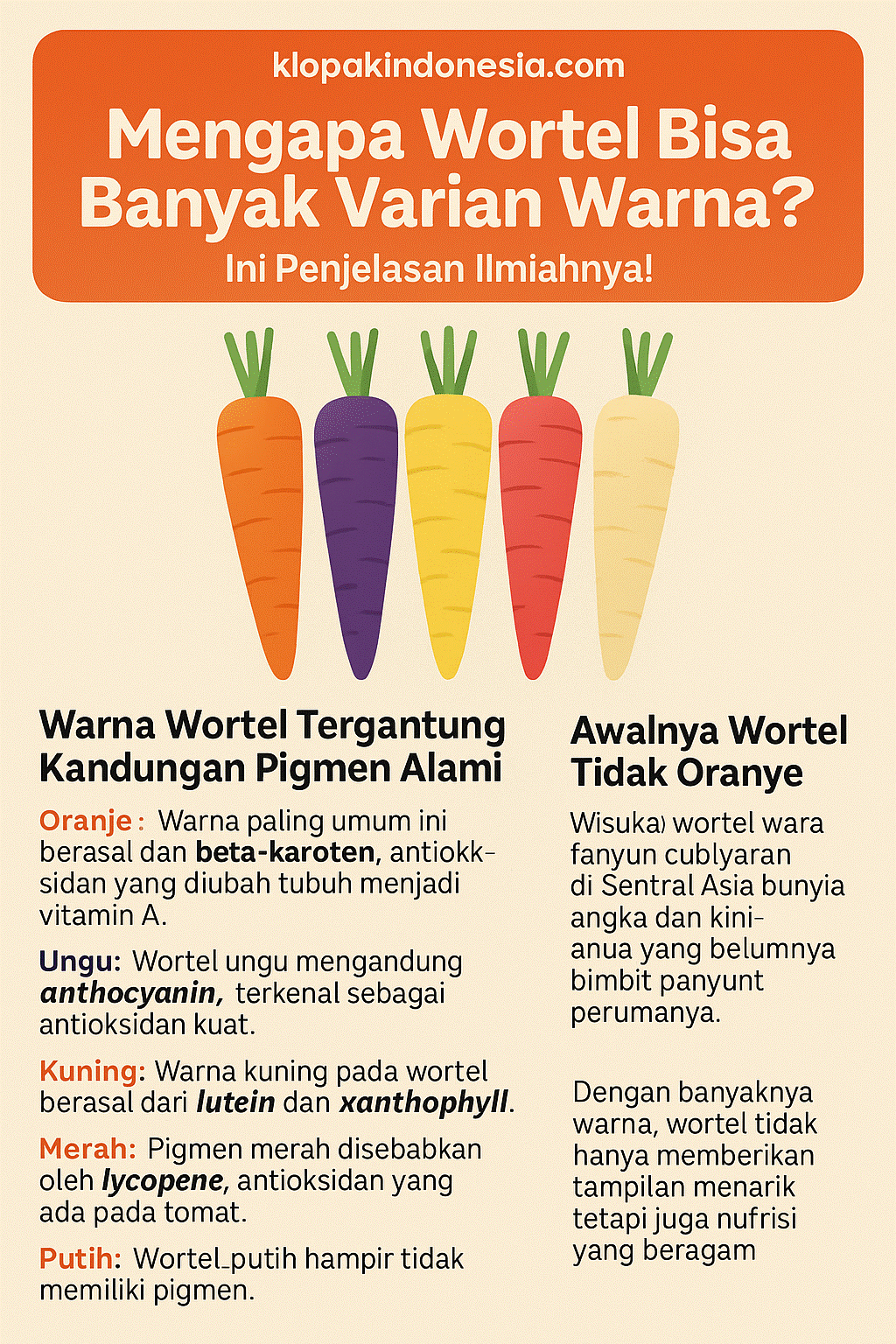 Mengapa Wortel Bisa Banyak Varian Warna? Ini Penjelasan Ilmiahnya ...