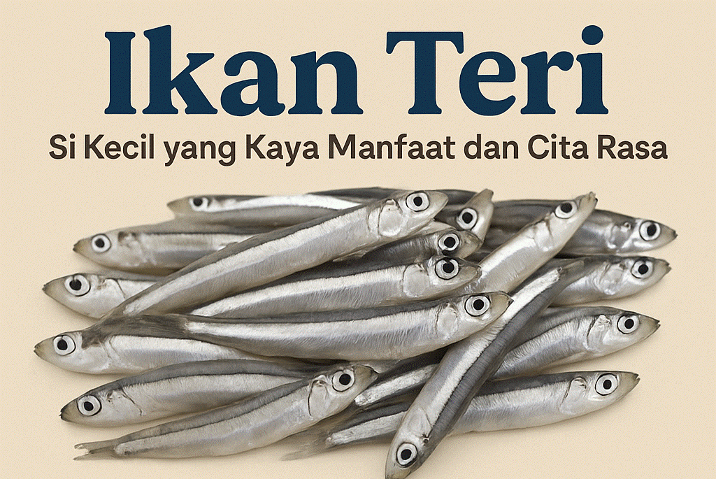 Ikan Teri: Si Kecil yang Kaya Manfaat dan Cita Rasa - Klopak Indonesia