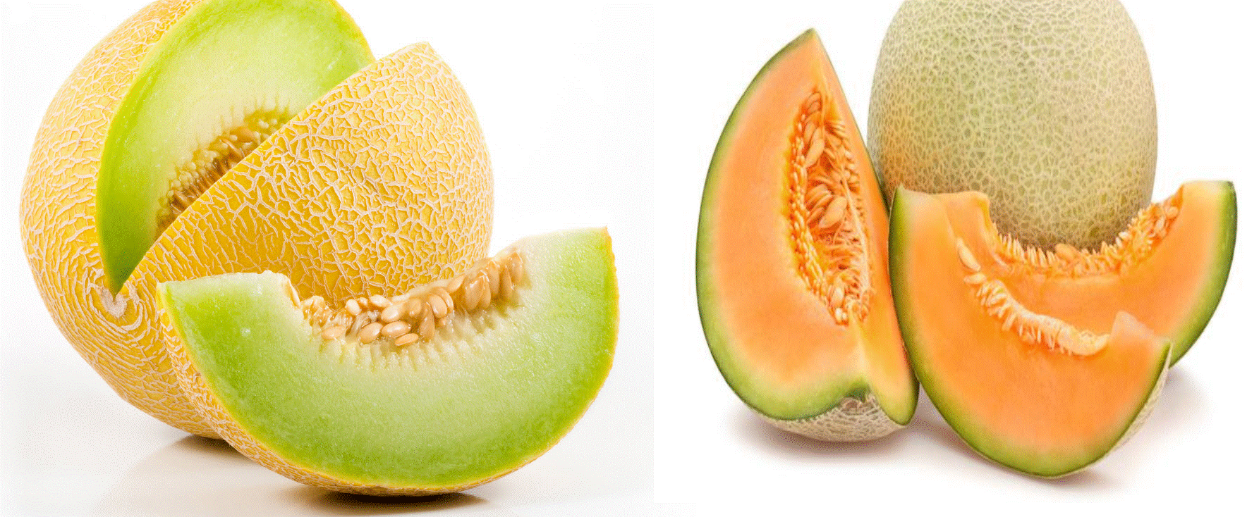 Melon, Kandungan Gizi dan Manfaatnya - Klopak Indonesia