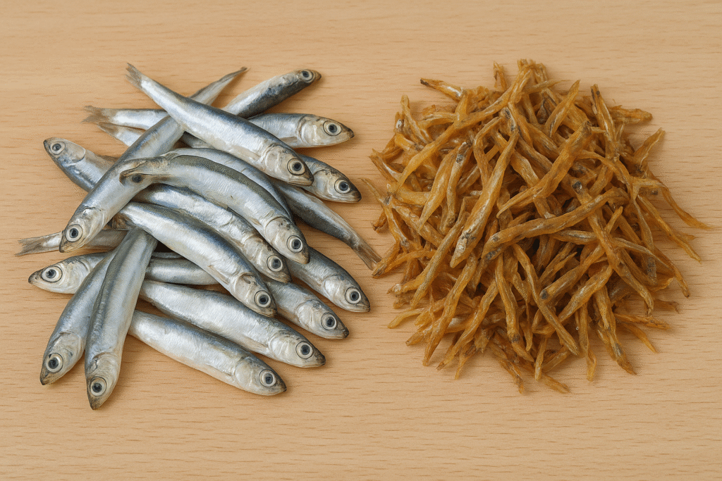 Ikan Teri, Si Kecil Kaya Gizi yang Jadi Favorit di Meja Makan Nusantara ...